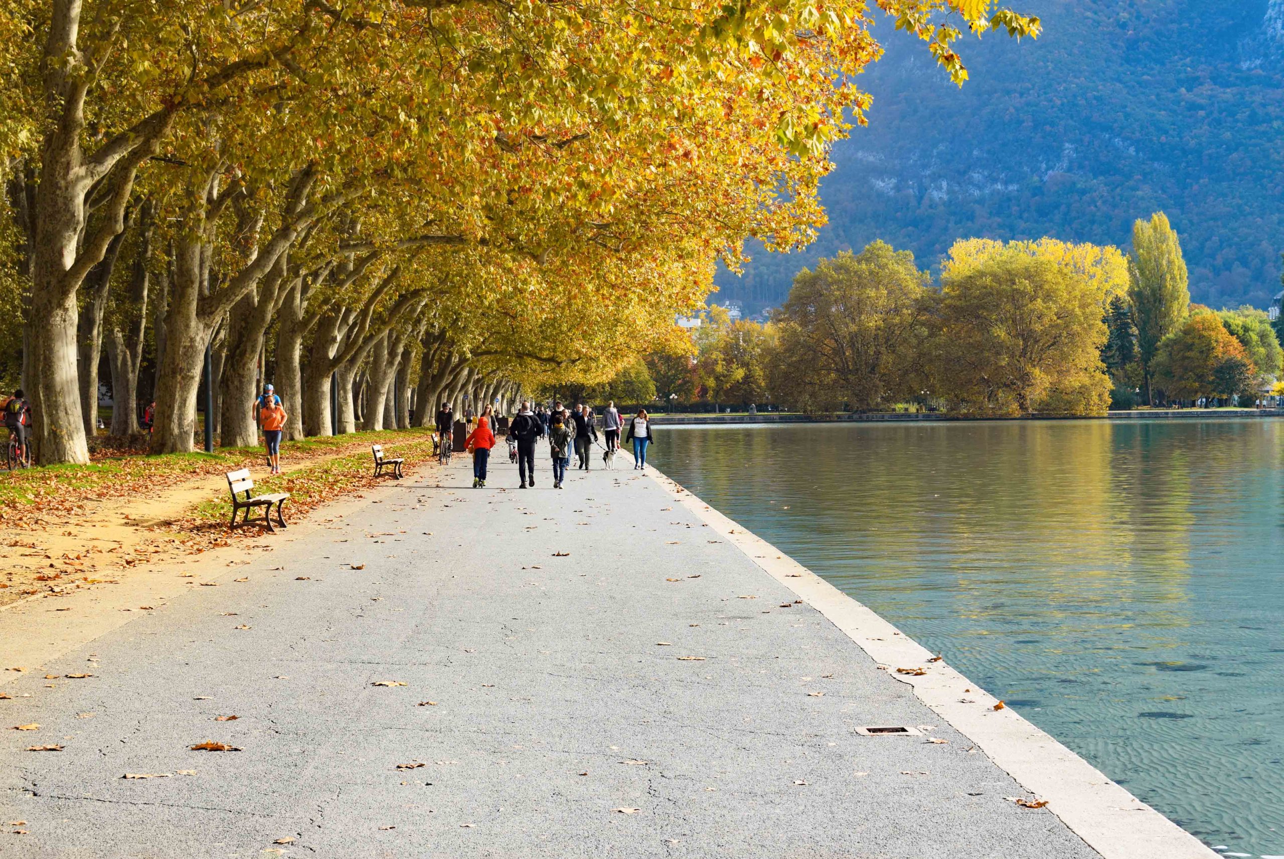 Colours of Autumn in Annecy: A Photographic Journey - French Moments