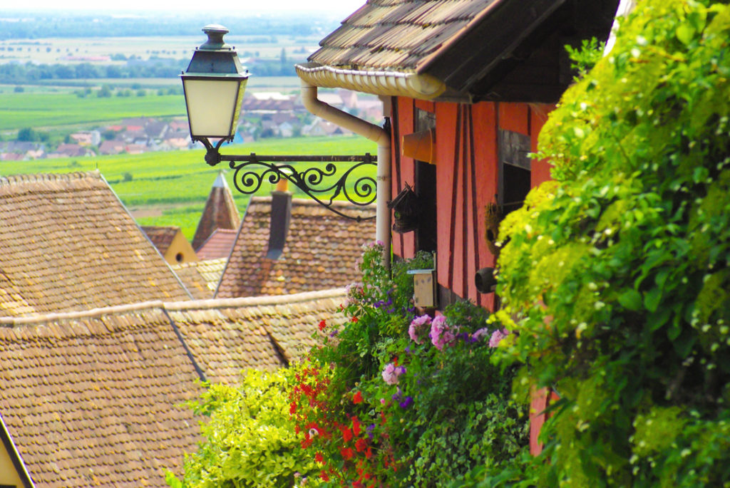 Around Colmar: 20 Must-See Places to Explore - French Moments