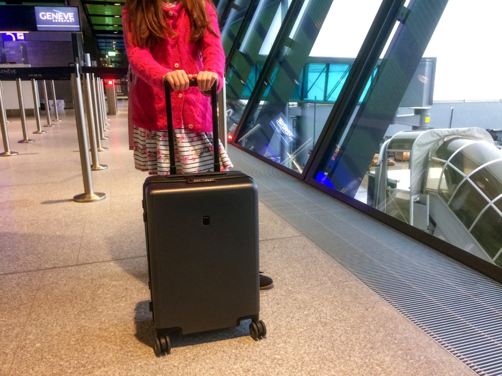 The Level8 Textured Luggage and Backpack Review - French Moments