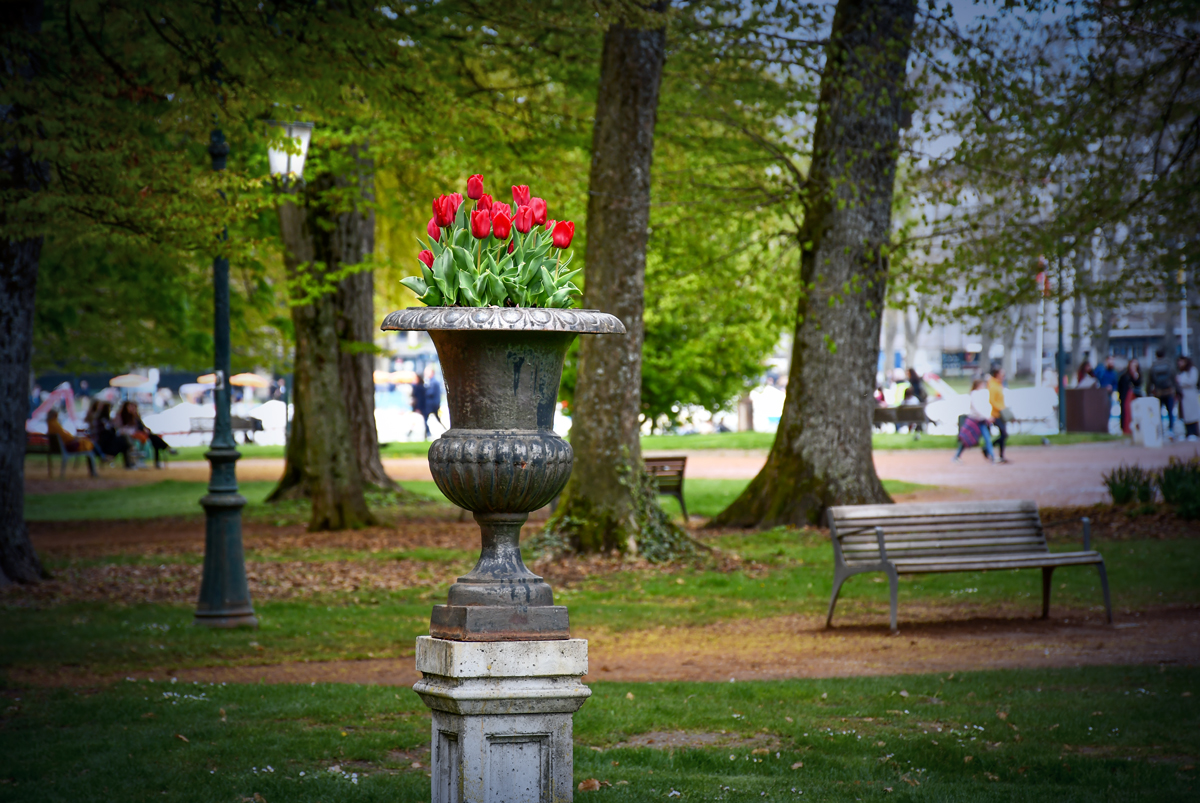 Chasing Spring in the French Alps: A Traveler’s Tale - French Moments