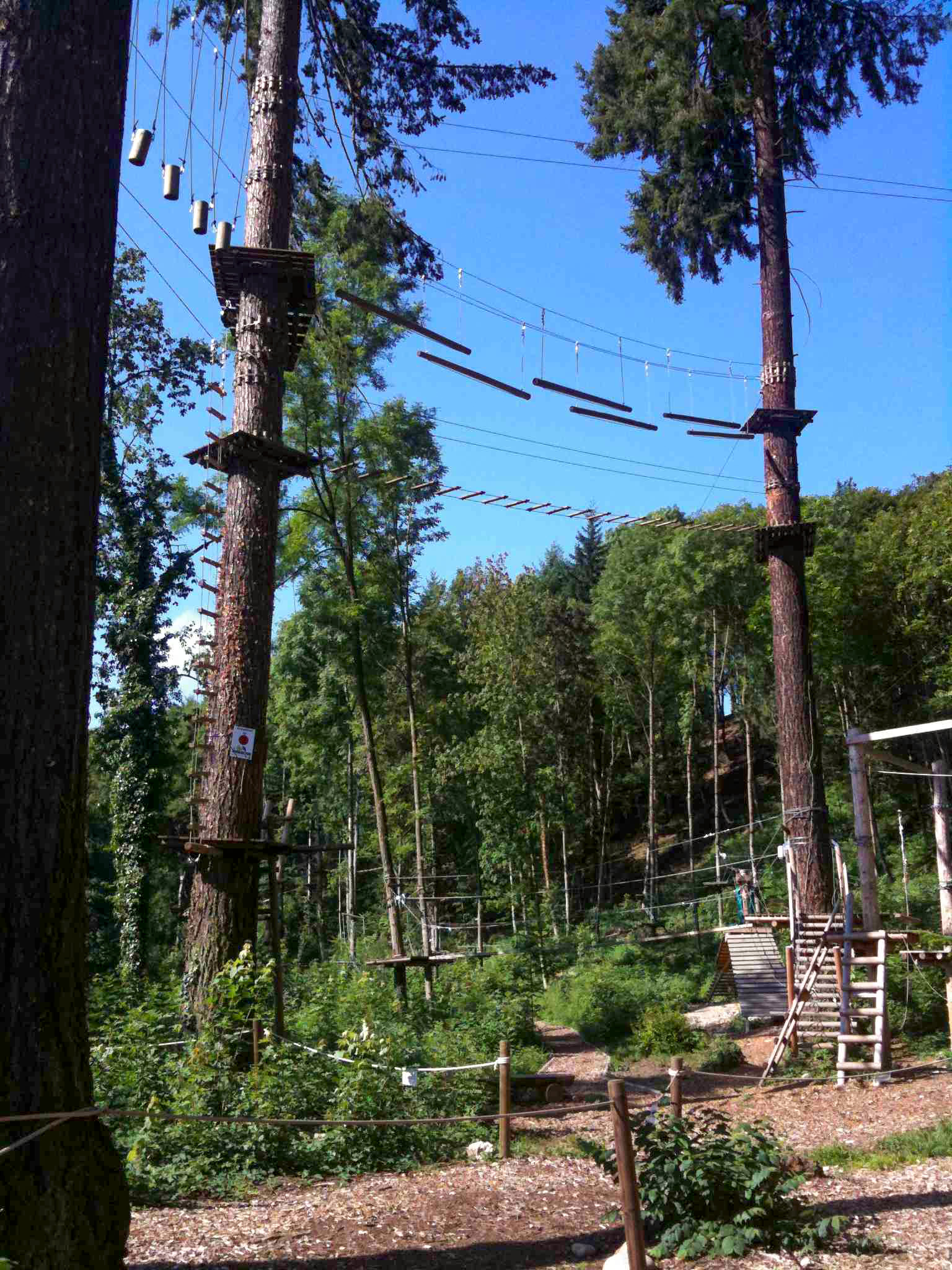 The Rhine Falls: A Breathtaking Natural Site in Europe - French Moments