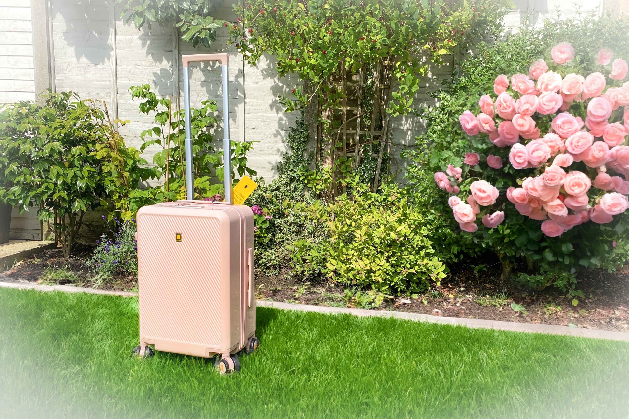 Provence unpacked: journeying with the best suitcases - French Moments