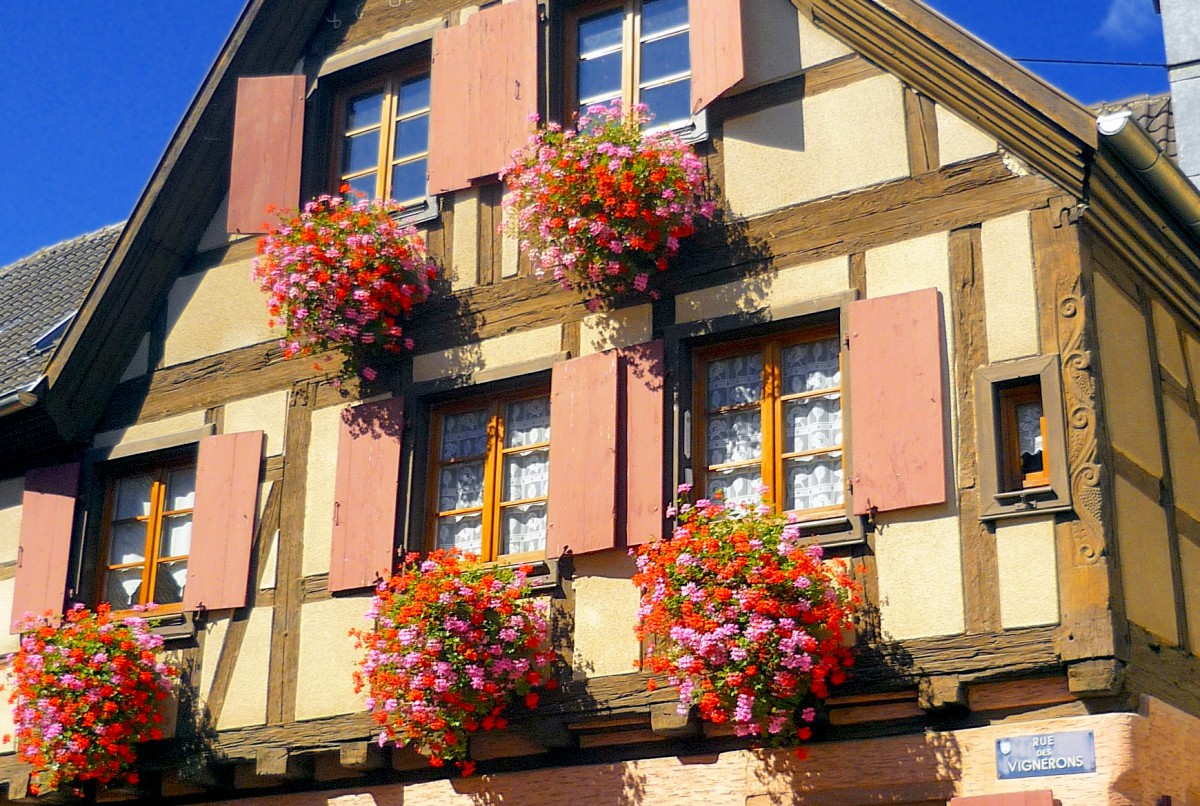 The Colours of Alsace: A Chromatic Quest - French Moments