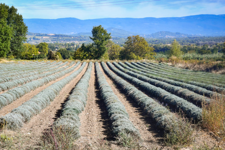 My 50 most beautiful photos of Provence - French Moments
