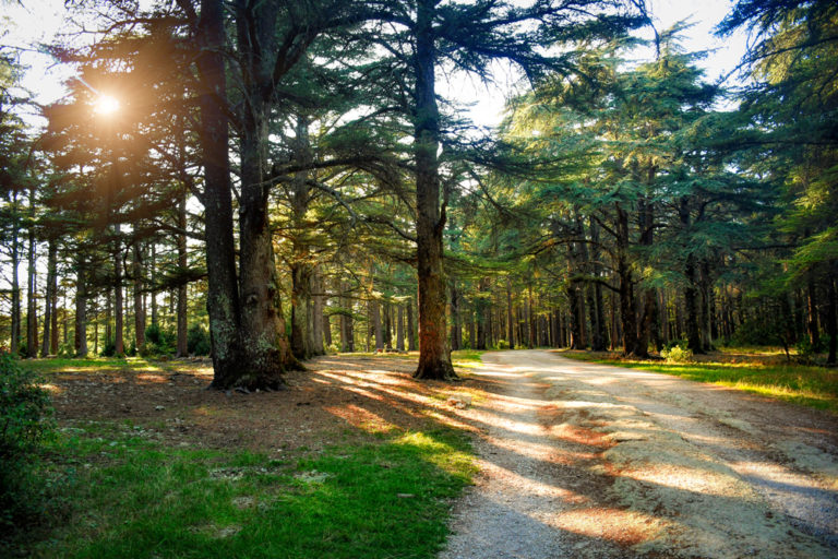 My 50 most beautiful photos of Provence - French Moments