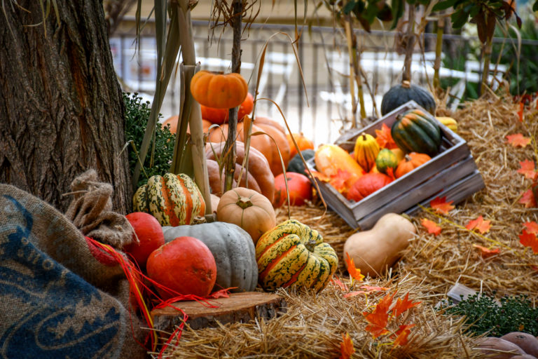 Halloween in France – Origins, Culture and Controversies - French Moments