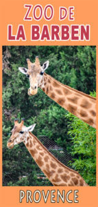 La Barben Zoo - A Fantastic Visit in the Heart of Provence - French Moments