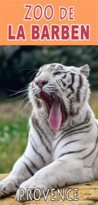 La Barben Zoo - A Fantastic Visit in the Heart of Provence - French Moments