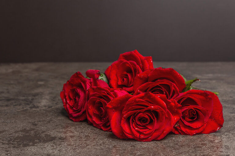 Red Roses Meaning: Symbolism, History and When to Give Them - French ...